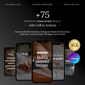 PLR 8000+ Faceless Reels Bundle - Aesthetic Instagram Video Templates ...