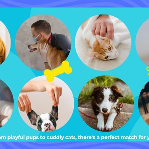 Pet Adoption Promo Video Editable Canva Template for Shelters, Rescues ...