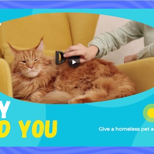 Pet Adoption Promo Video Editable Canva Template for Shelters, Rescues ...