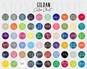 gildan light blue hex code