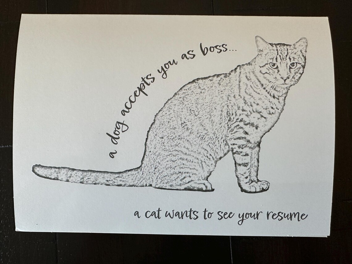 Quirky Sketch Variety 01: Original Note Cards Blank Set of 6 With ...