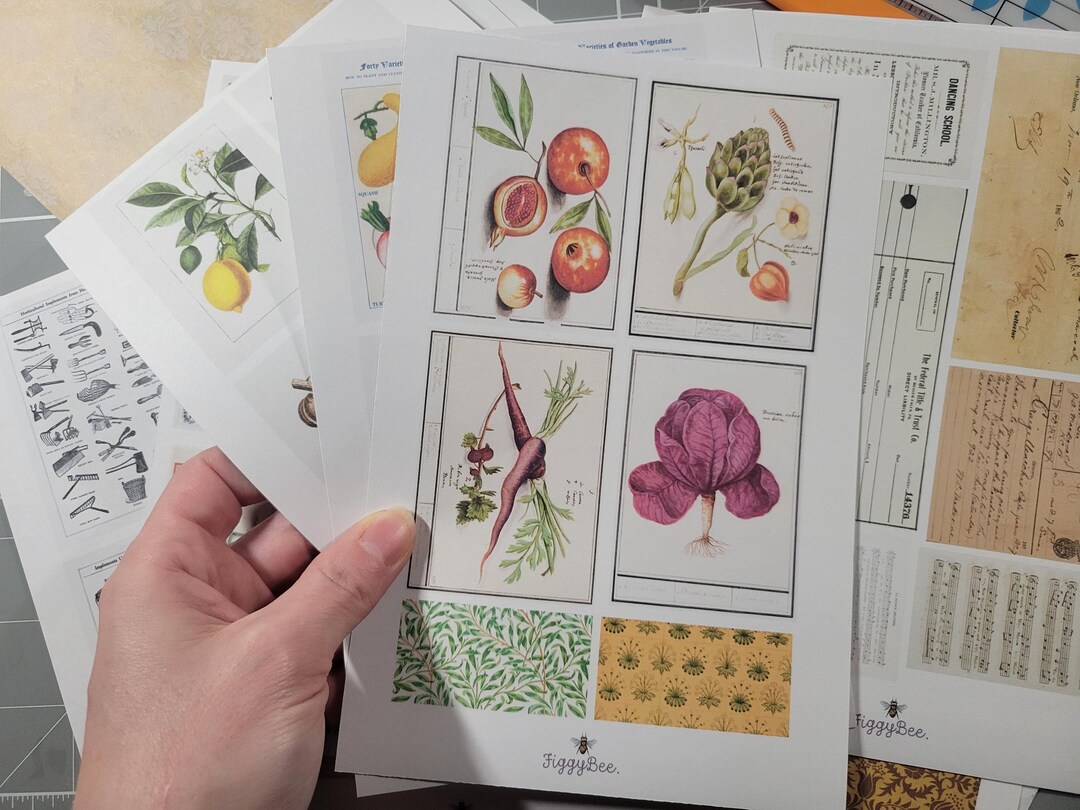 Vintage Scrapbook Ephemera Assorted Sticker Pages for Scrapbooking and ...