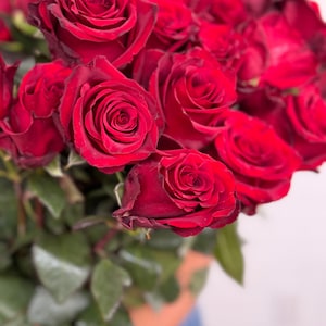 Explorer~ Dark Red Rose by the Package~ DIY Wedding and Event Flowers ...