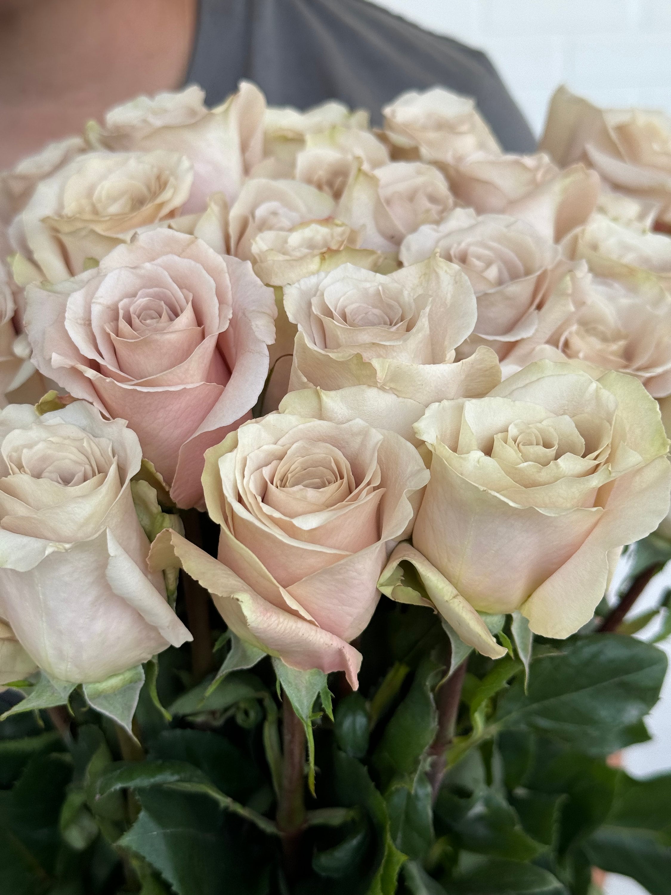 Quicksand~ Beige Rose by the Package~ DIY Wedding and Event Flowers - Etsy