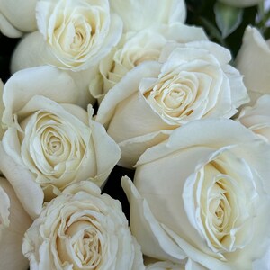 Playa Blanca~ White Rose by the Package~ DIY Wedding and Event Flowers ...