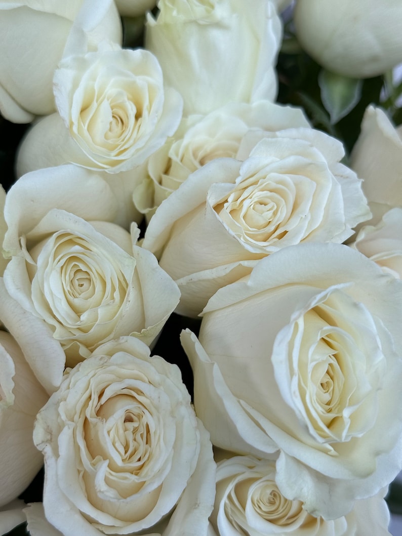 Playa Blanca~ White Rose by the Package~ DIY Wedding and Event Flowers ...