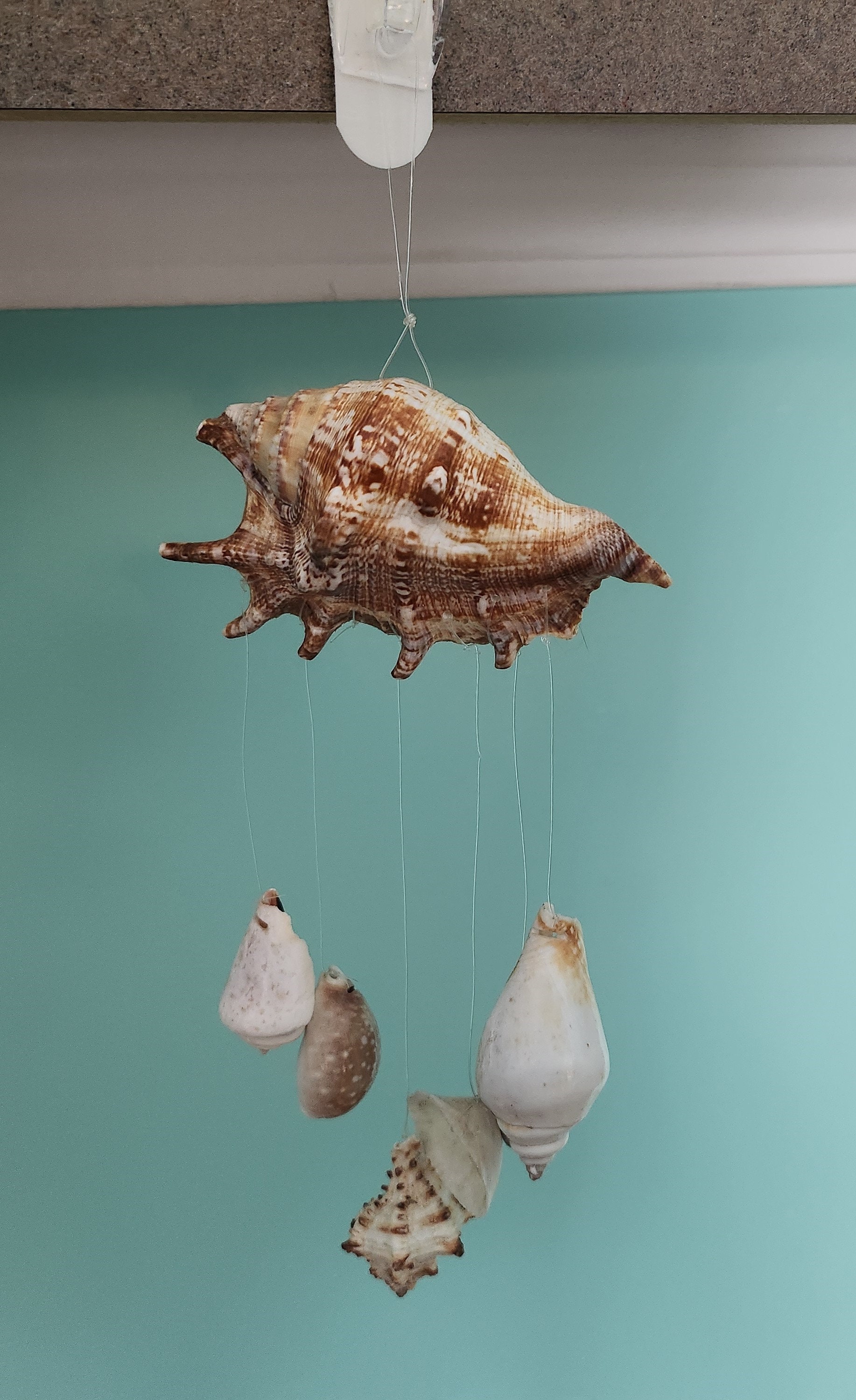 Shell Wind Chime - Etsy