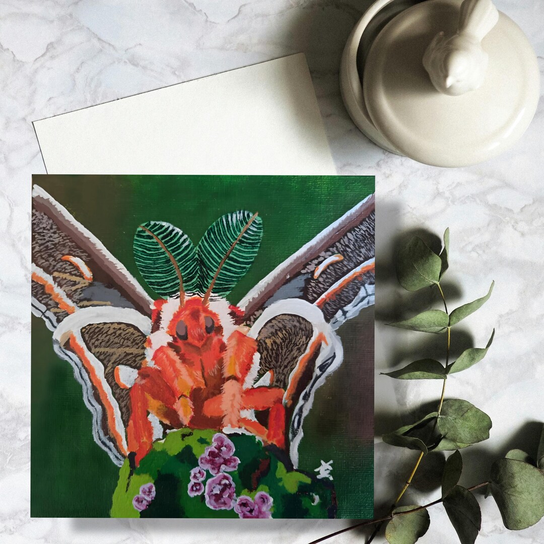 Colorful Moth Greeting Card for Birthday, Just Because. Handmade Animal ...