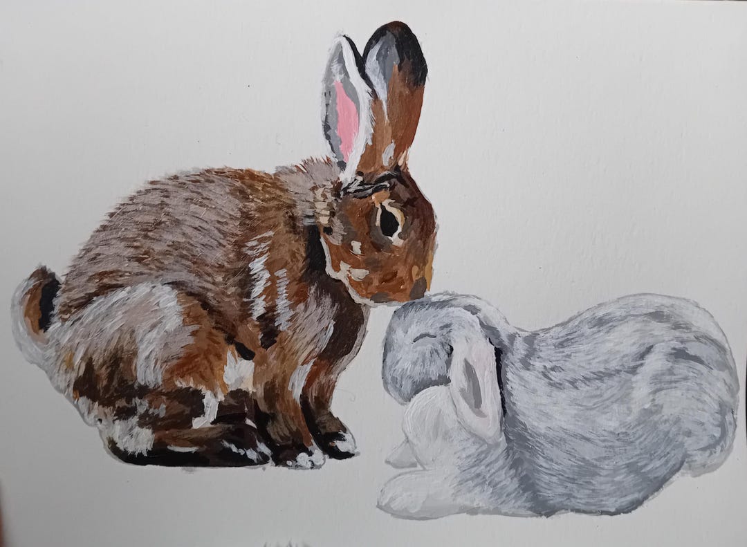 Kissing Rabbits Acrylic Painting: Hand Painted Cute Bunny Framed ...