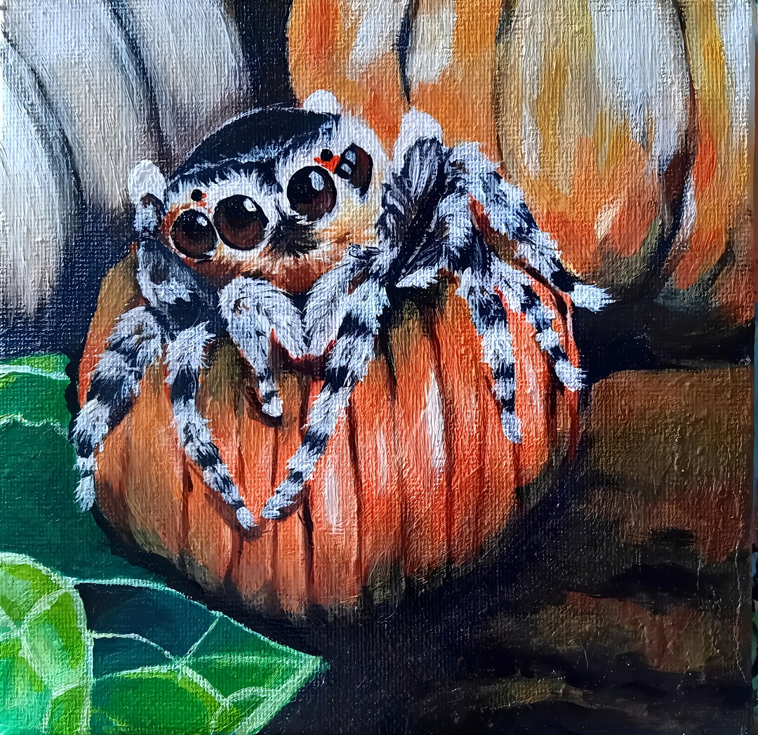 Adorable Jumping Spider in Pumpkin Field Print: Halloween Insect Wall ...