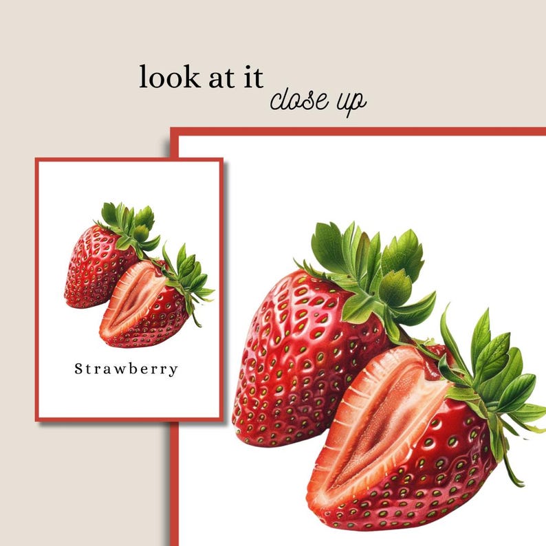 Flashcards, Montessori, Fruits Learning, , Educational, Education ...