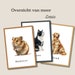 Learning Pets, Flash Cards, Learning Animals, Game, Memory, Printable ...