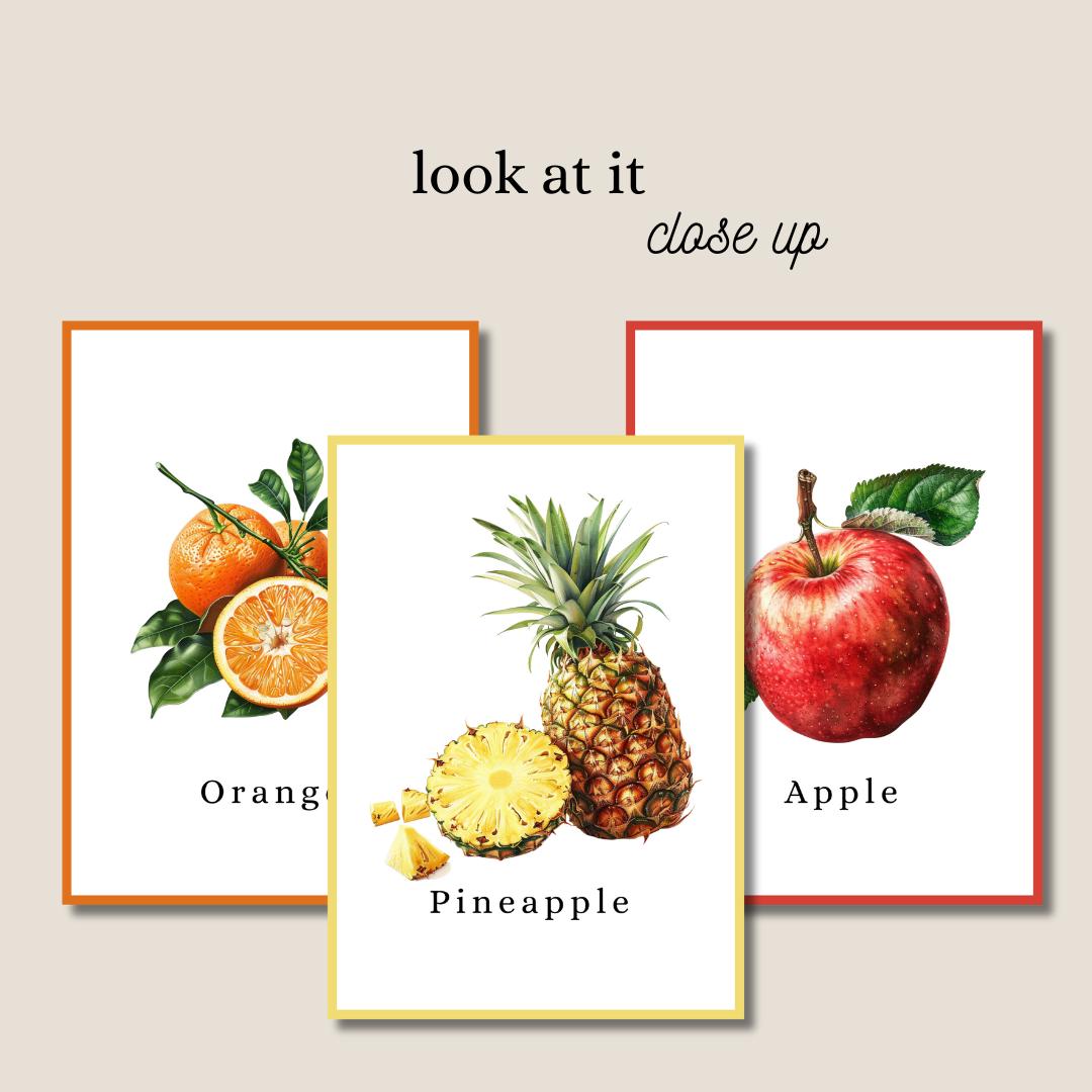 Flashcards, Montessori, Fruits Learning, , Educational, Education ...