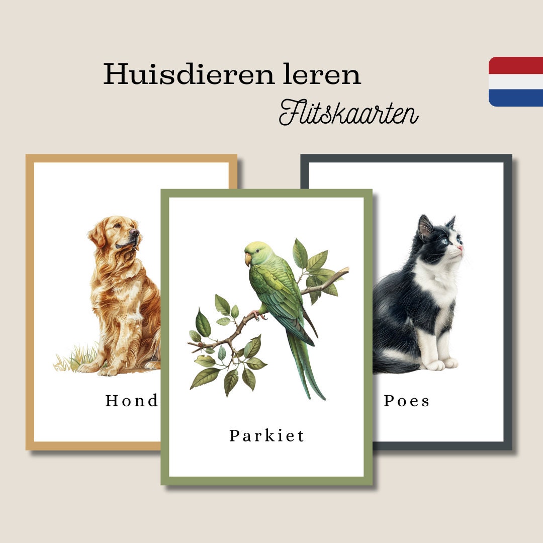 Learning Pets, Flash Cards, Learning Animals, Game, Memory, Printable, Pdf File, School ...