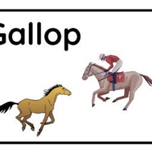 Vocabulary Words, State Testing/assessment Practice - Etsy