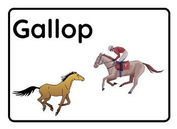 Vocabulary Words, State Testing/assessment Practice - Etsy