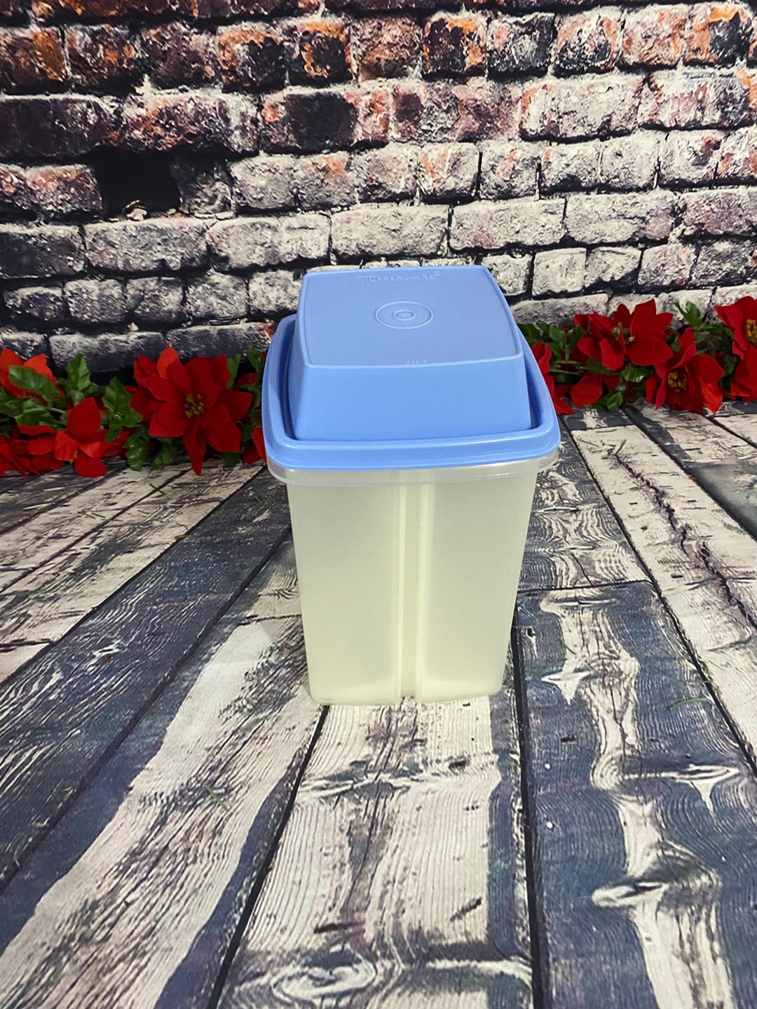 Vintage TUPPERWARE Pickle Box – A Classic Revisited - Etsy
