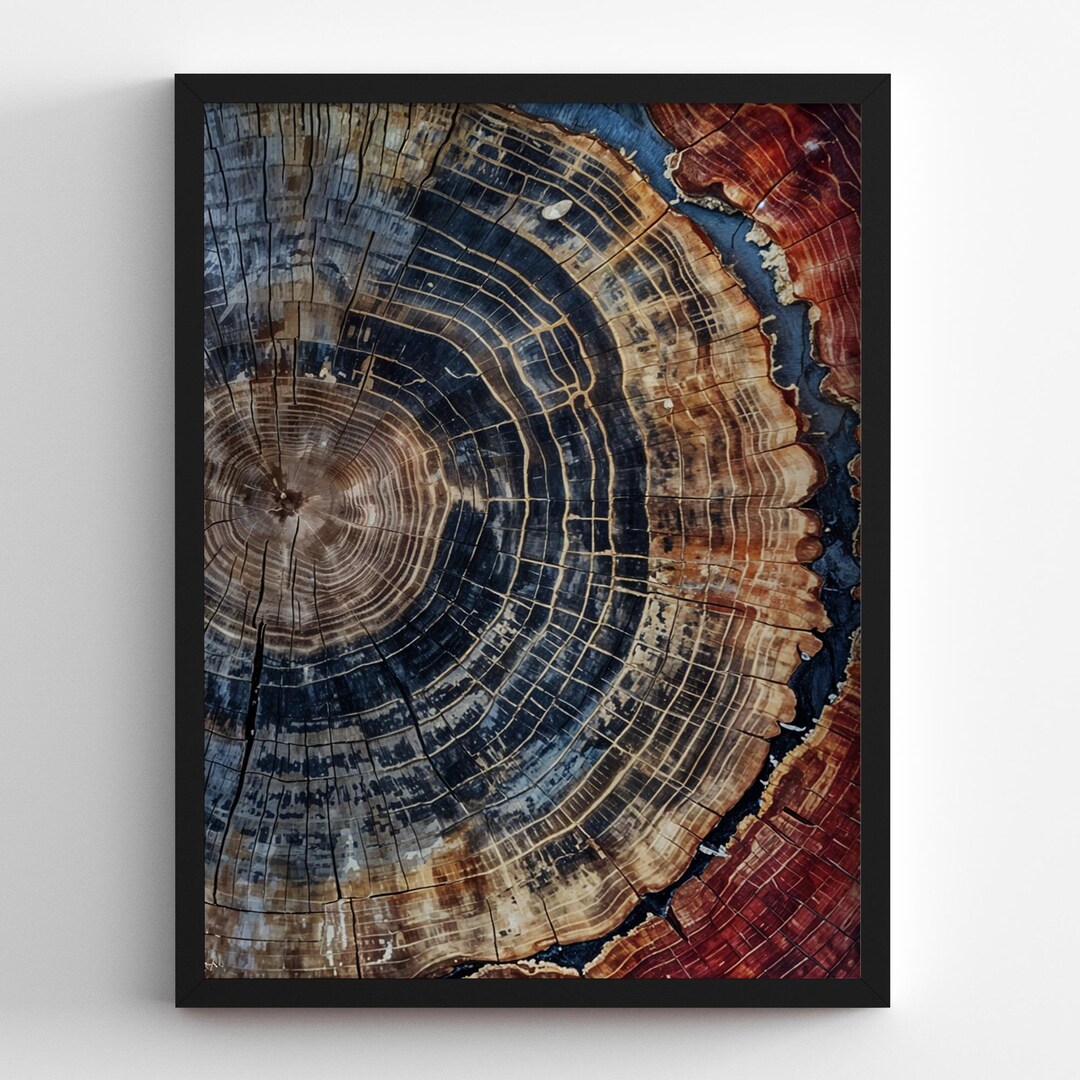 Tree Ring Framed Wall Art, Abstract Colorful Tree Ring Wall Decor ...