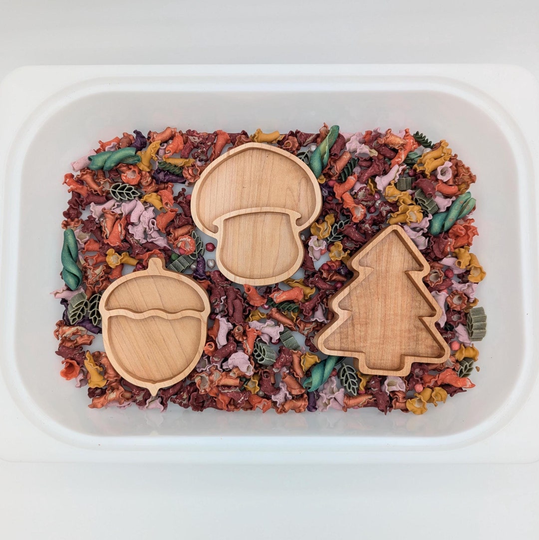 Sensory Play Tray, Woodland Forest Trays, Mini Mushroom Acron Tree ...