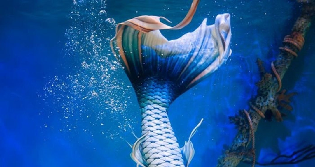 Merman Mermaid Spell, Transform, Transformation Spell, and Immortality ...