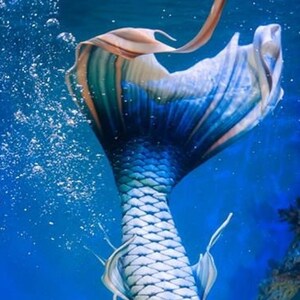 Merman Mermaid Spell, Transform, Transformation Spell, and Immortality ...