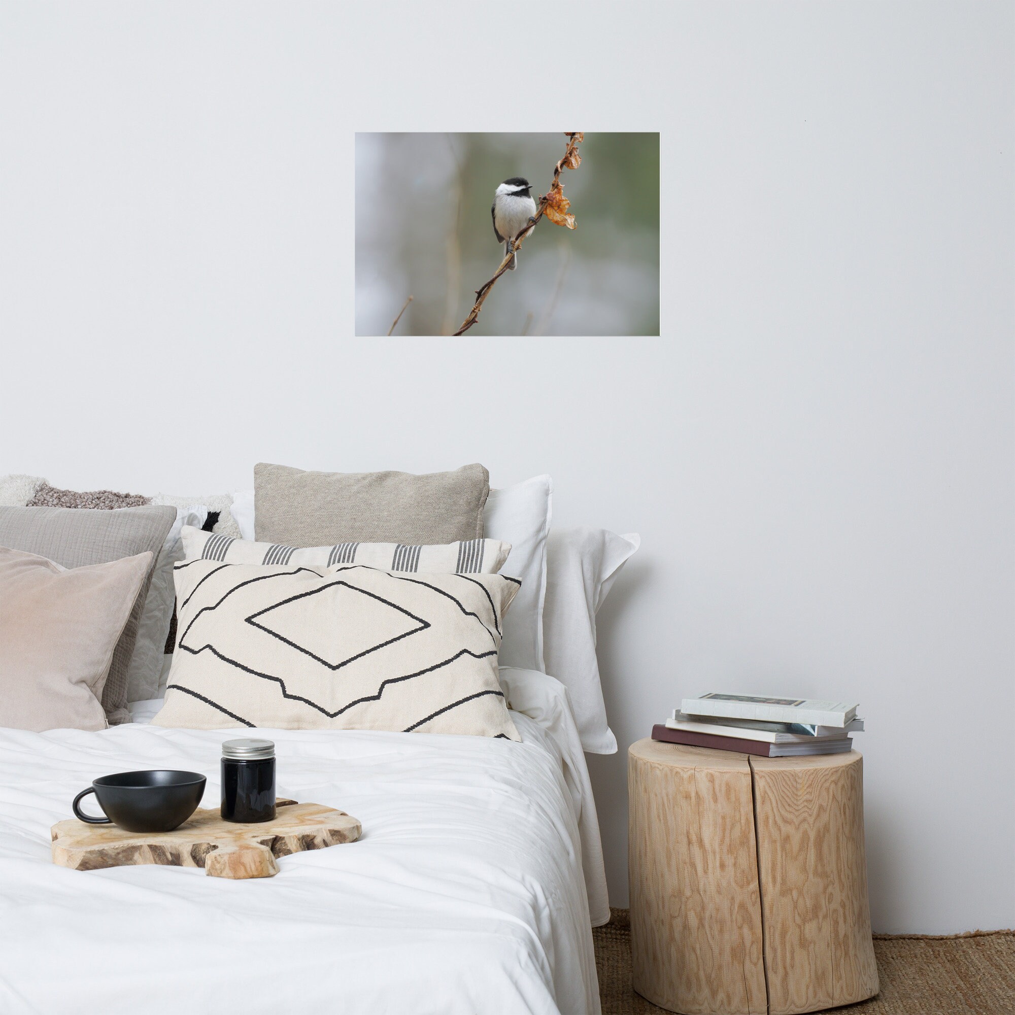 Black-capped Chickadee in Early Spring, Berkshire County, Massachusetts ...