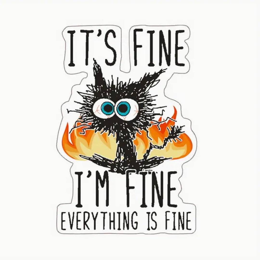 Hilarious it's Fine I'm Fine Everything is Fine Cat Meme Sticker - Etsy