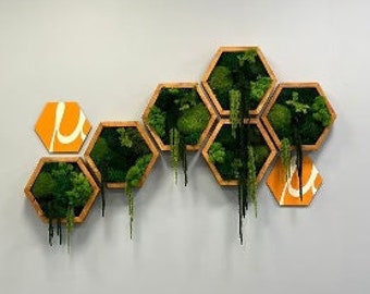 Hexagon Moss Hanging Sculpture Floral Living Wall Art Preserved Moss ...