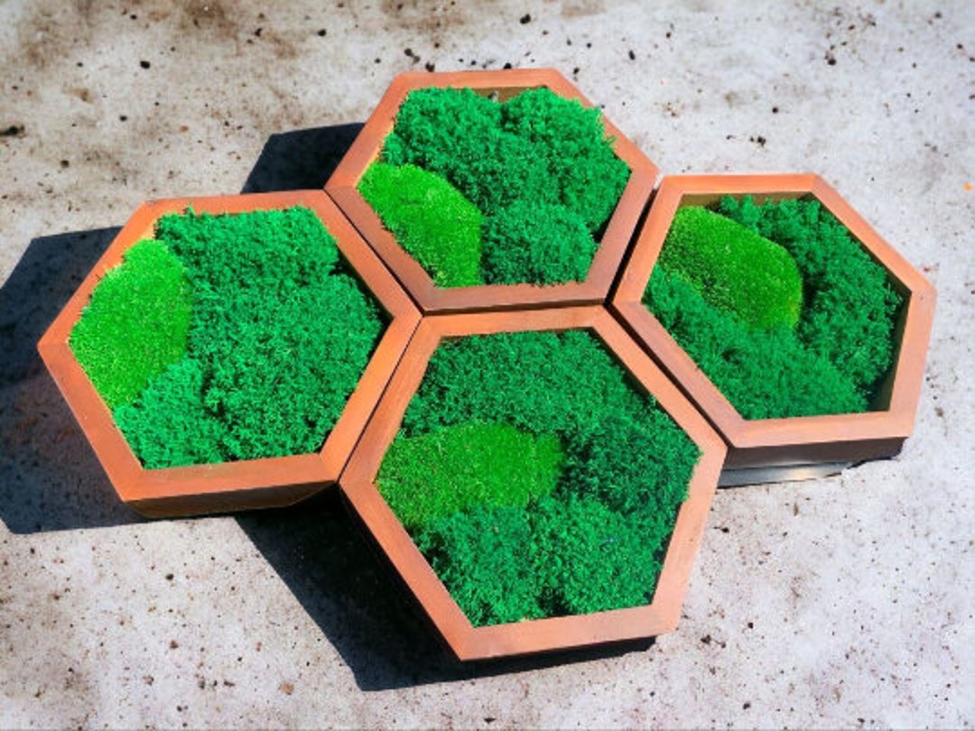 Hexagon Moss, Moss Wall Art, Hanging Sculpture, Living Wall Art ...