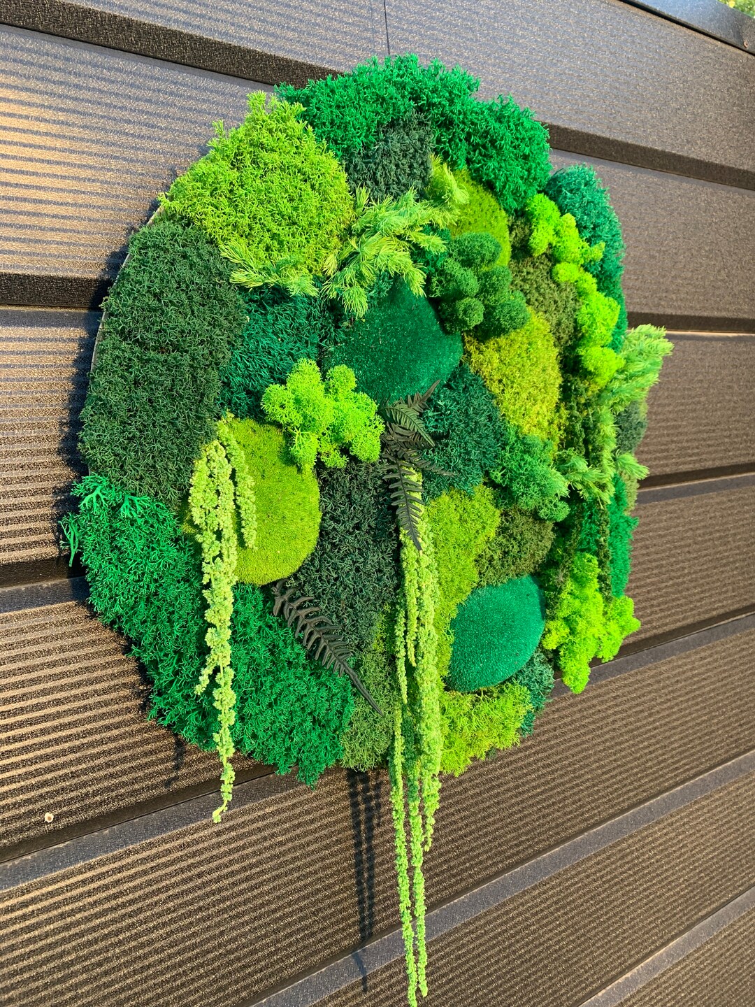 Round Moss Wall Art, Large Circle Preserved Moss Decor for Office ...