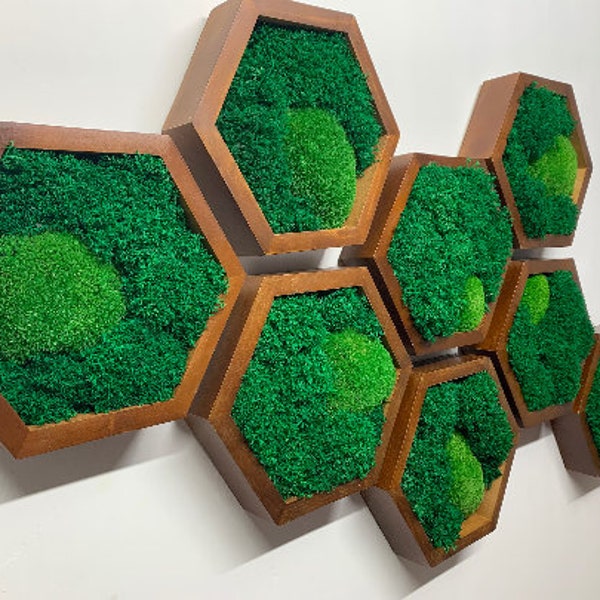 Moss Wall Art - Etsy