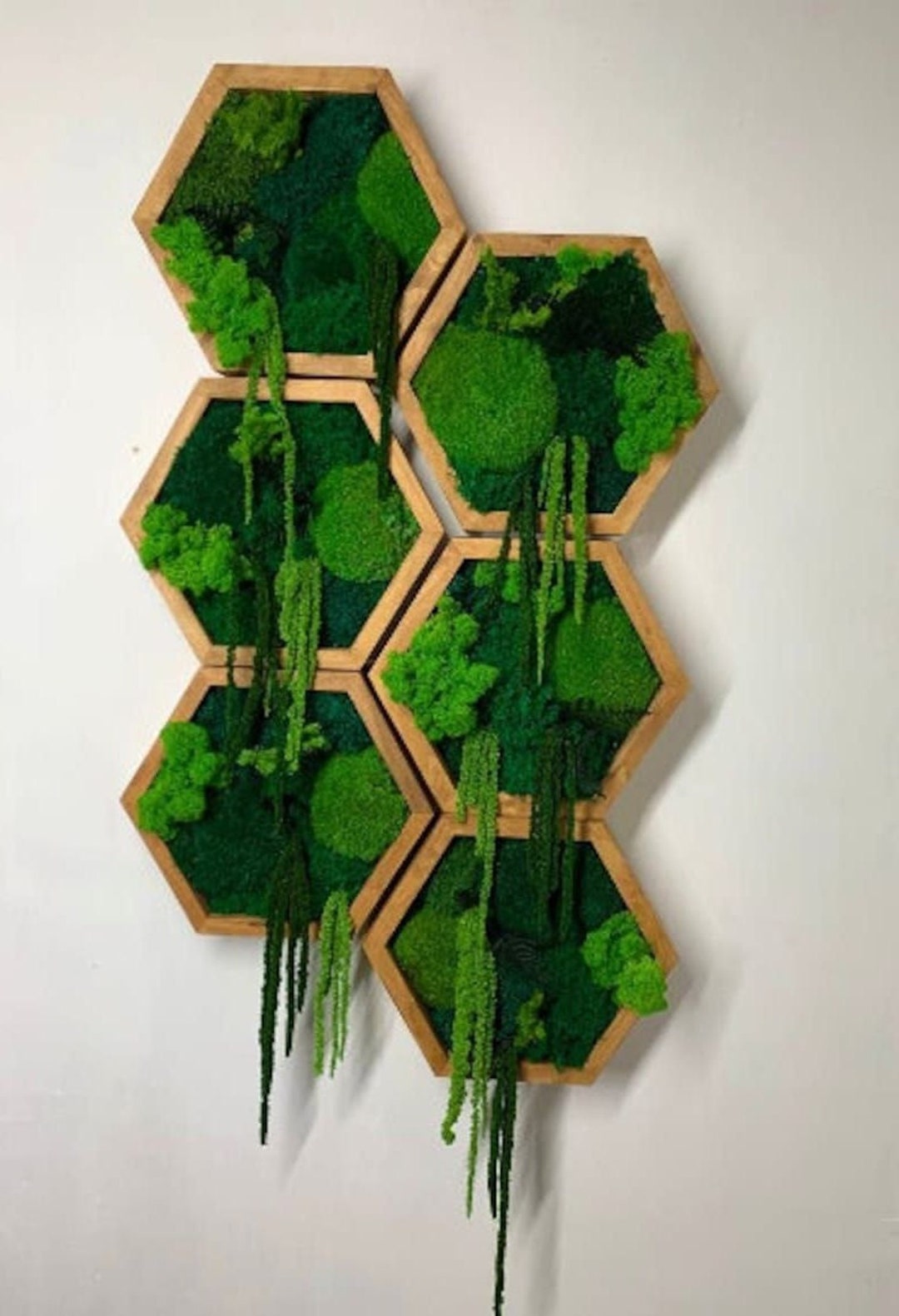 Moss Hexagon, Moss Art, Moss Panel, Honeycombs Moss Wall Art, Green Wall Moss Art, Moss Home ...