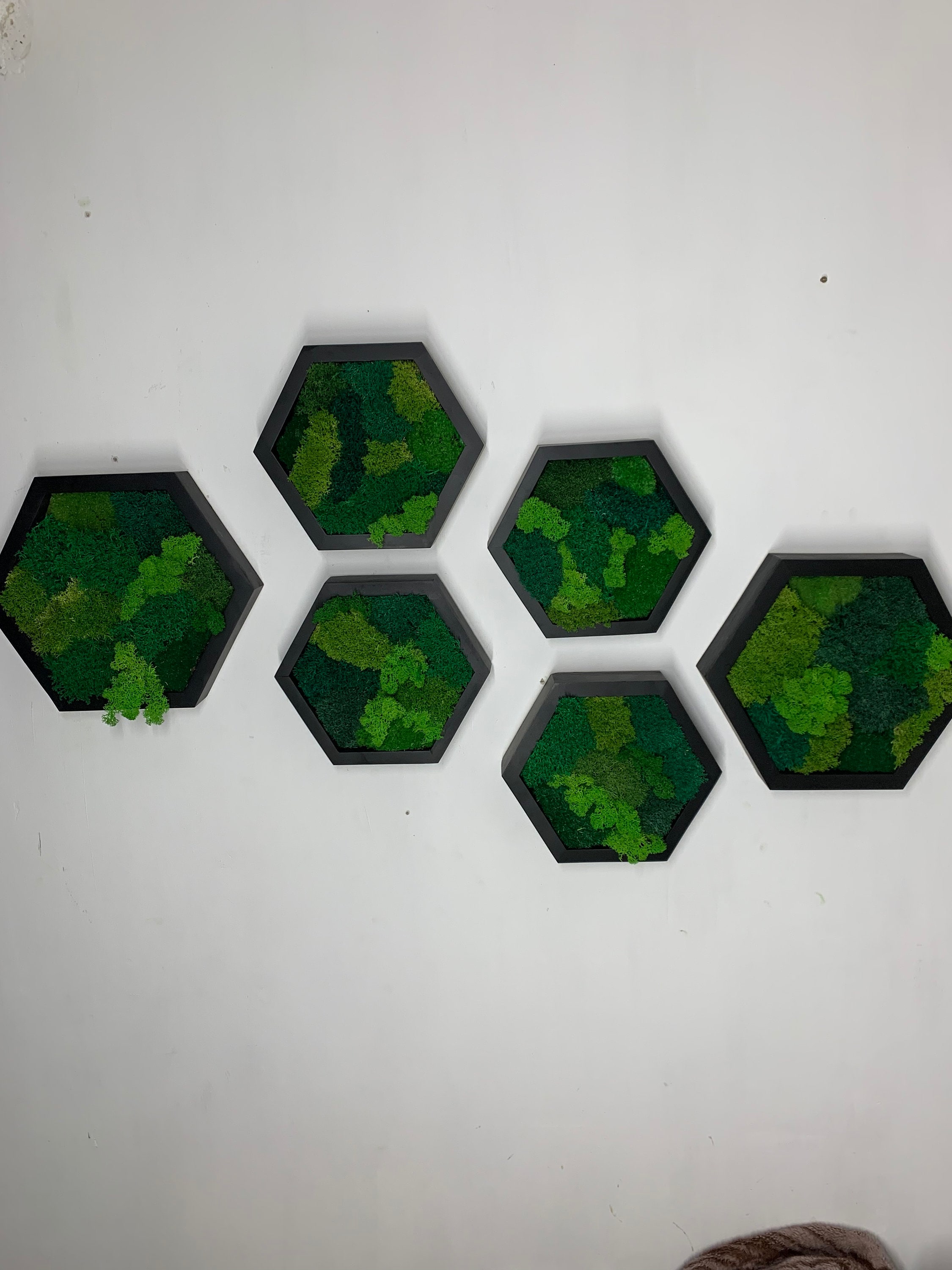 Moss Hexagon, Moss Wall Art, Moss Art Work, Moss Art, Preserved Moss Art. Living Wall. Large ...