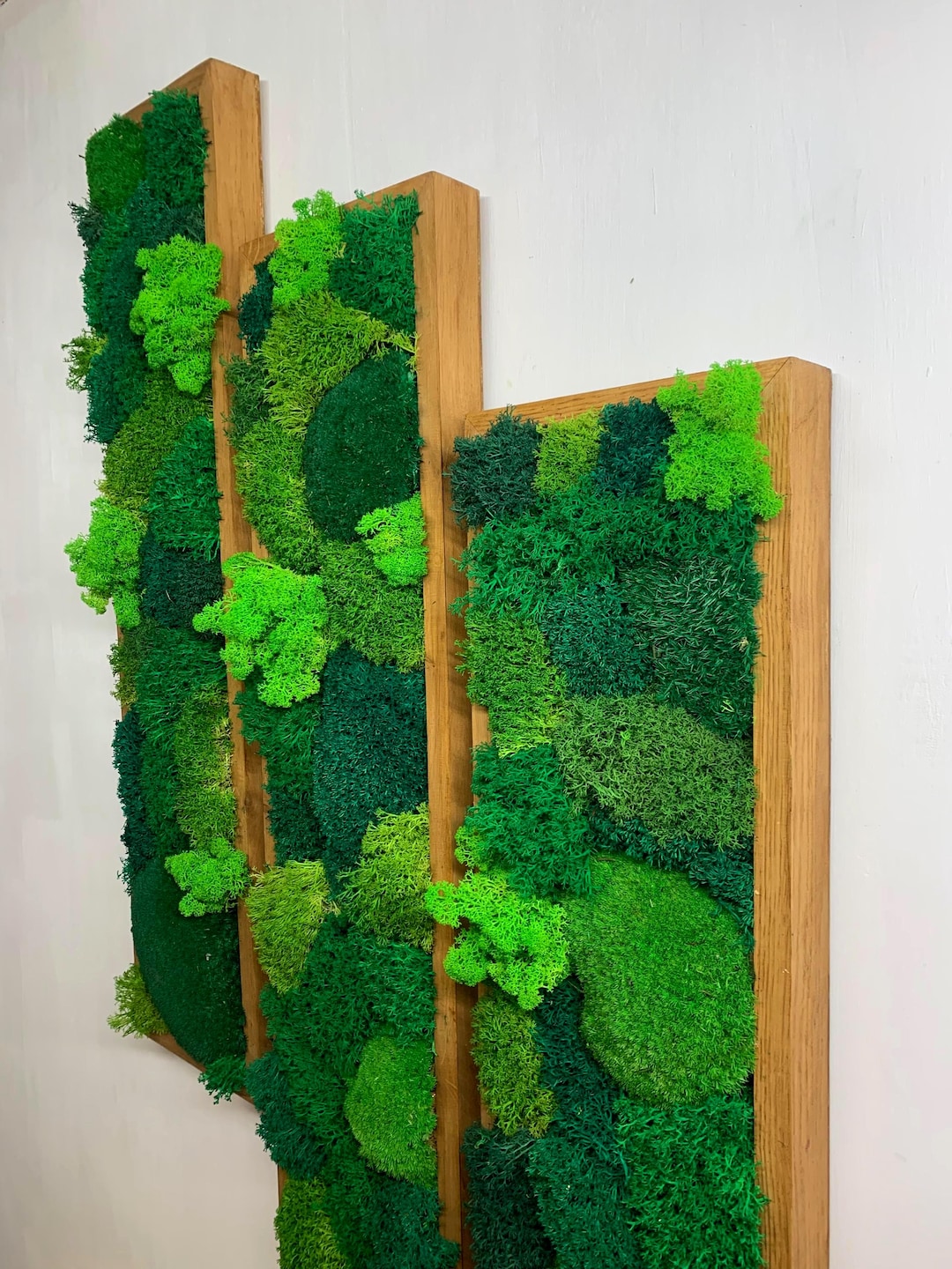 Vertical Moss Wall Art Panel, Preserved Moss Decor, Moosbild, Many ...