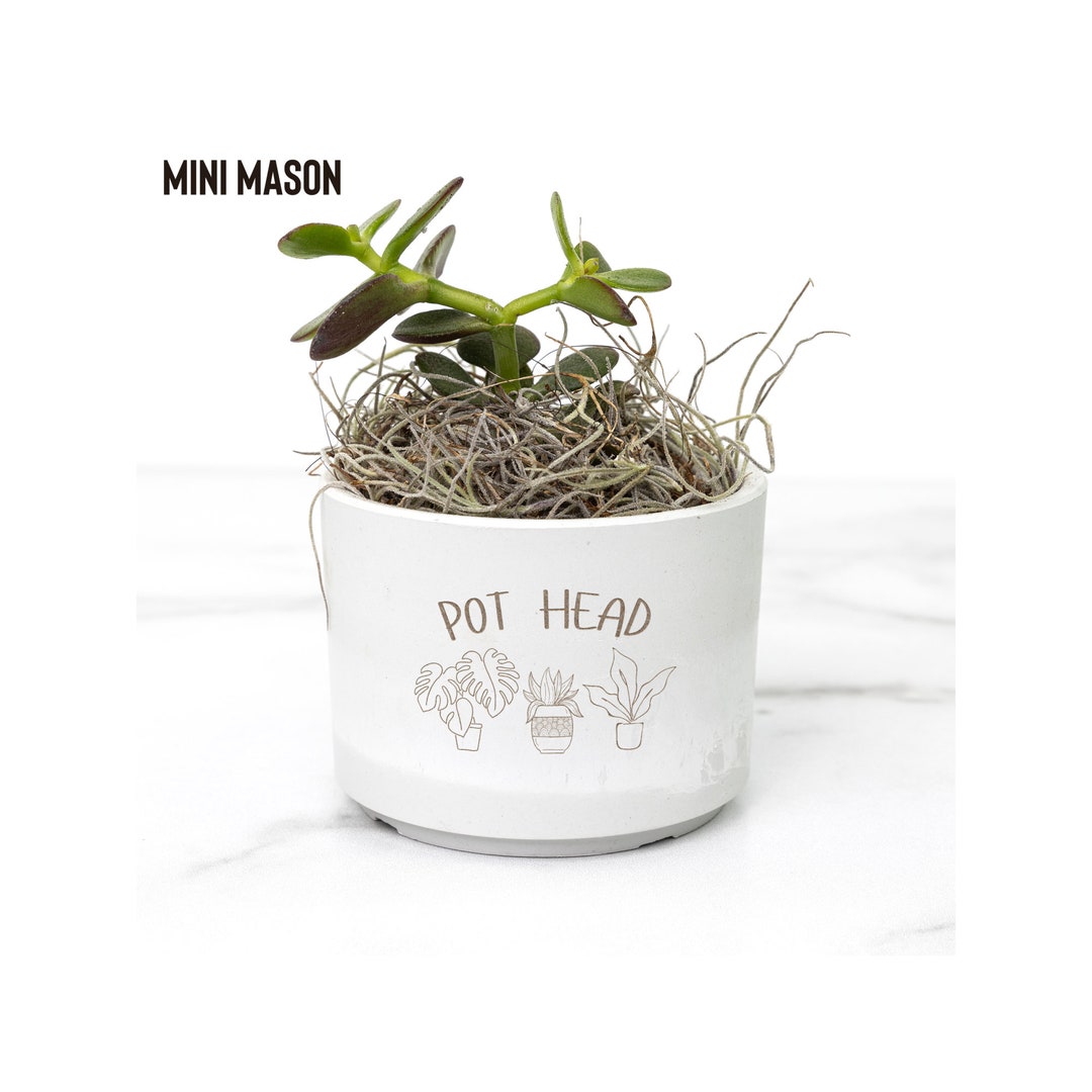 Pot Head Desk Plant, Small Desk Plant, Office Desk Decor, Office Decor ...