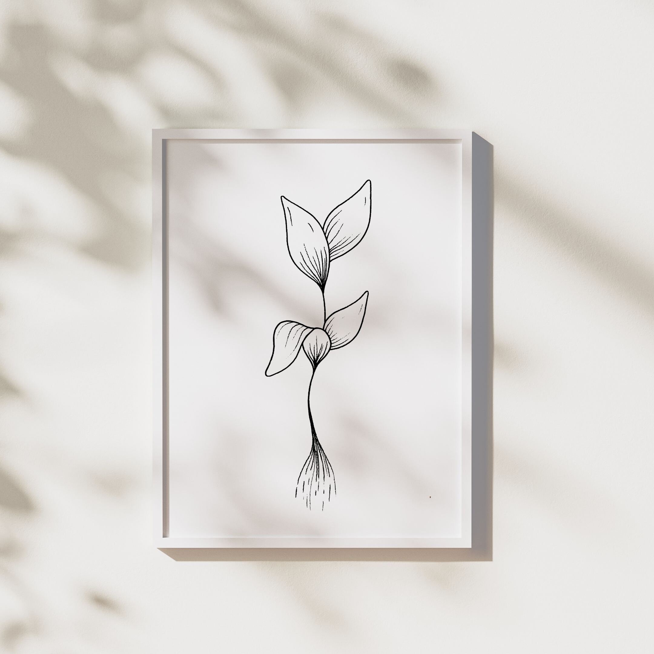 Root Drawing | Botanical Art Poster | Four Leaf Plant | Monochrome ...