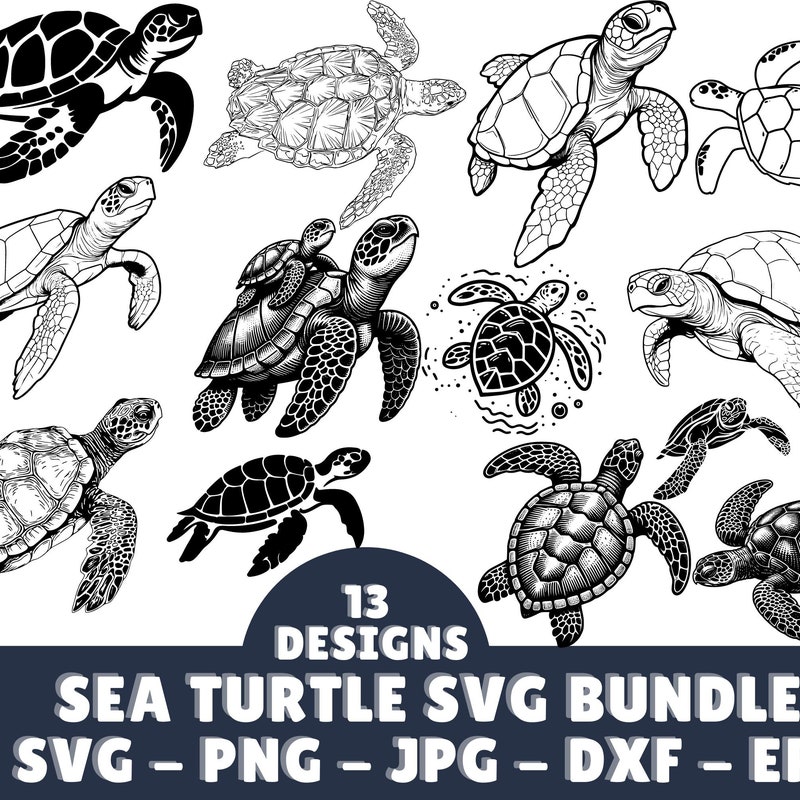 Turtle Svg - Etsy