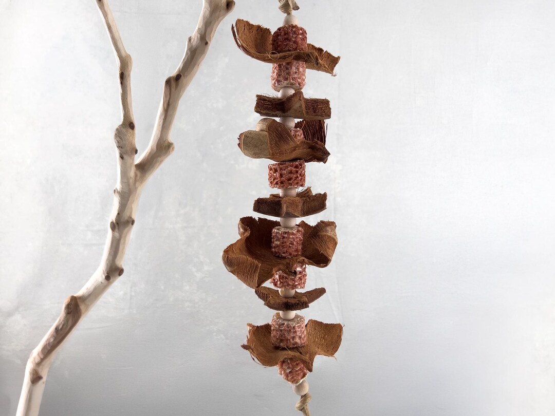 Cuckoo for Coconut- Large Parrot Chewing Toy, Natural Bird Chew Toy for ...