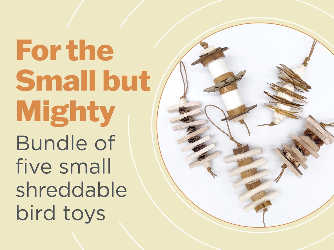 For the Small but Mighty, 5 Toy Bundle, Natural Balsa Wood Toys, Sola Parrot Chewing Toys, Small ...