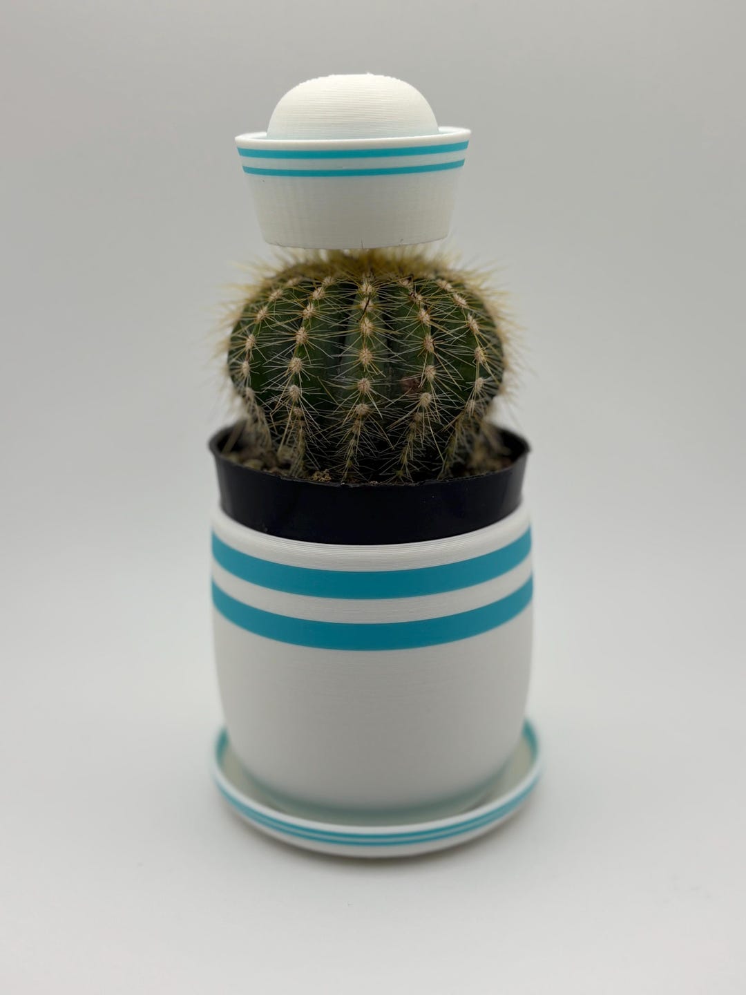 Sailor Style Plant Pot for Cactus, Succulents, Bamboo | Nautical ...