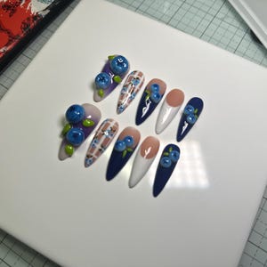 3D Blueberry Picnic Nails - Etsy