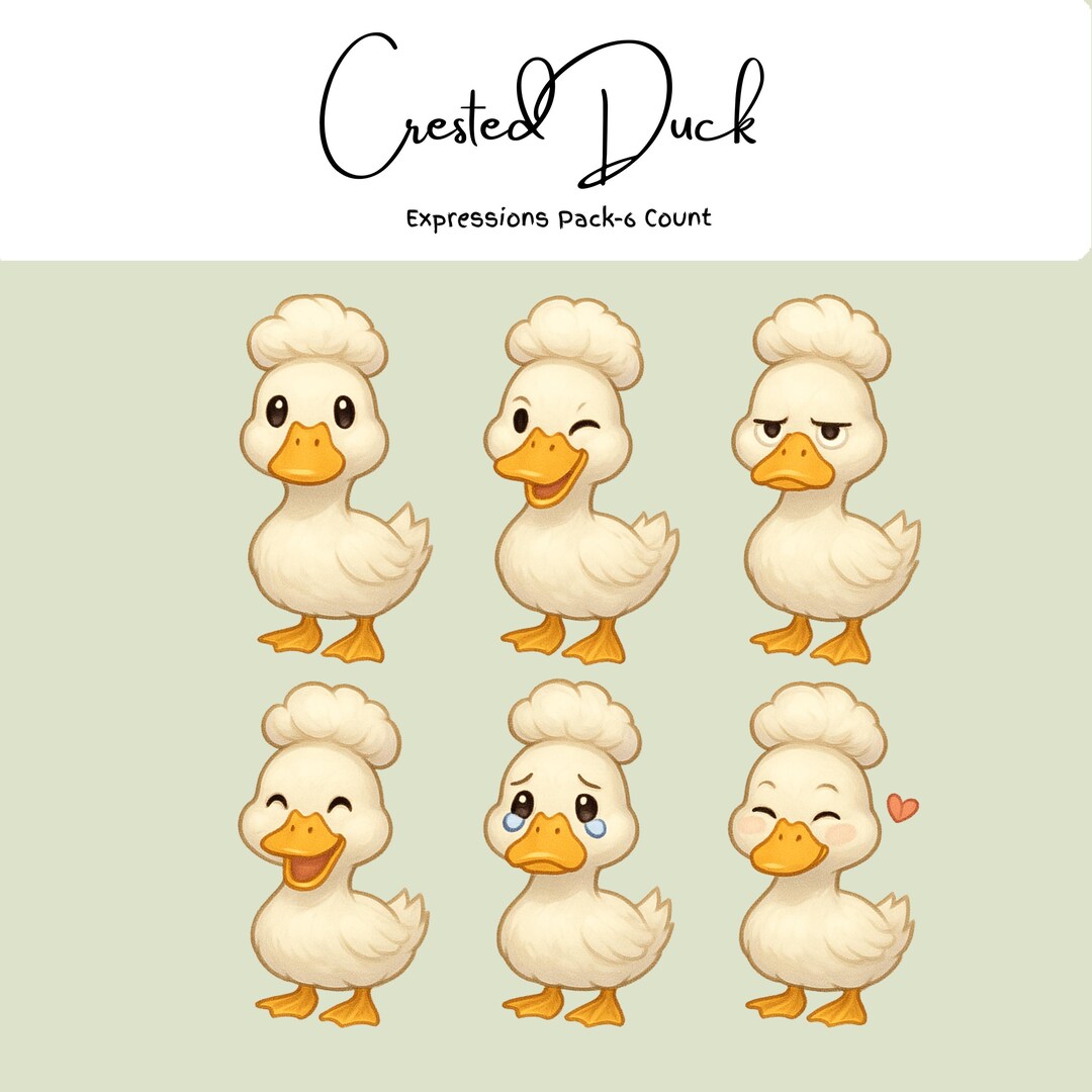 Farm Animal Crested Duck Clipart Bundle 6 PNG Cartoon Duck Files Cute ...