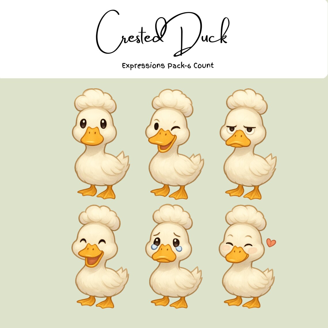 Farm Animal Crested Duck Clipart Bundle 6 PNG Cartoon Duck Files Cute ...