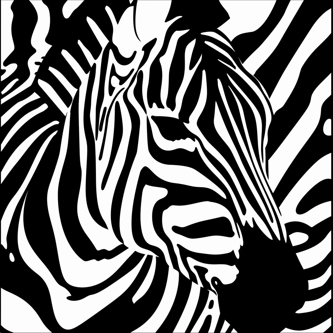 Zebra Enhanced Matte Finish Paper Poster - Etsy