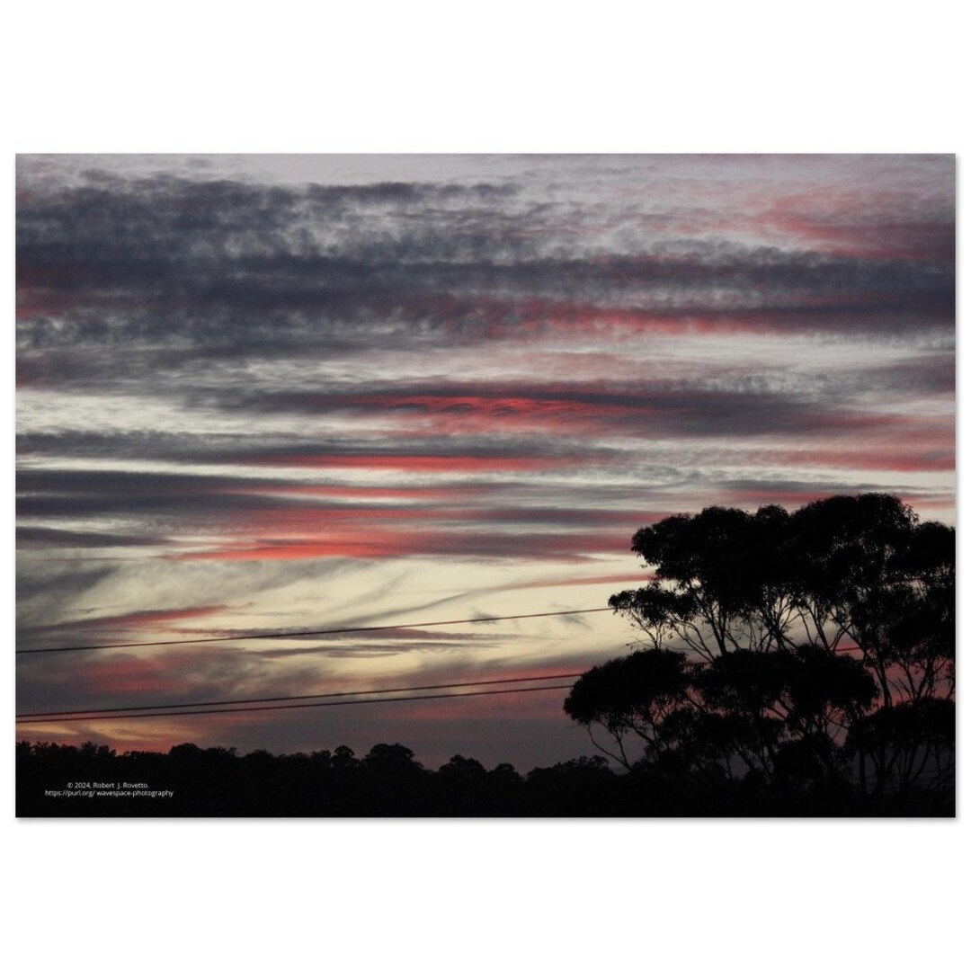 Bateman's Tree Sunset - Premium Semi-glossy Paper Poster - Etsy