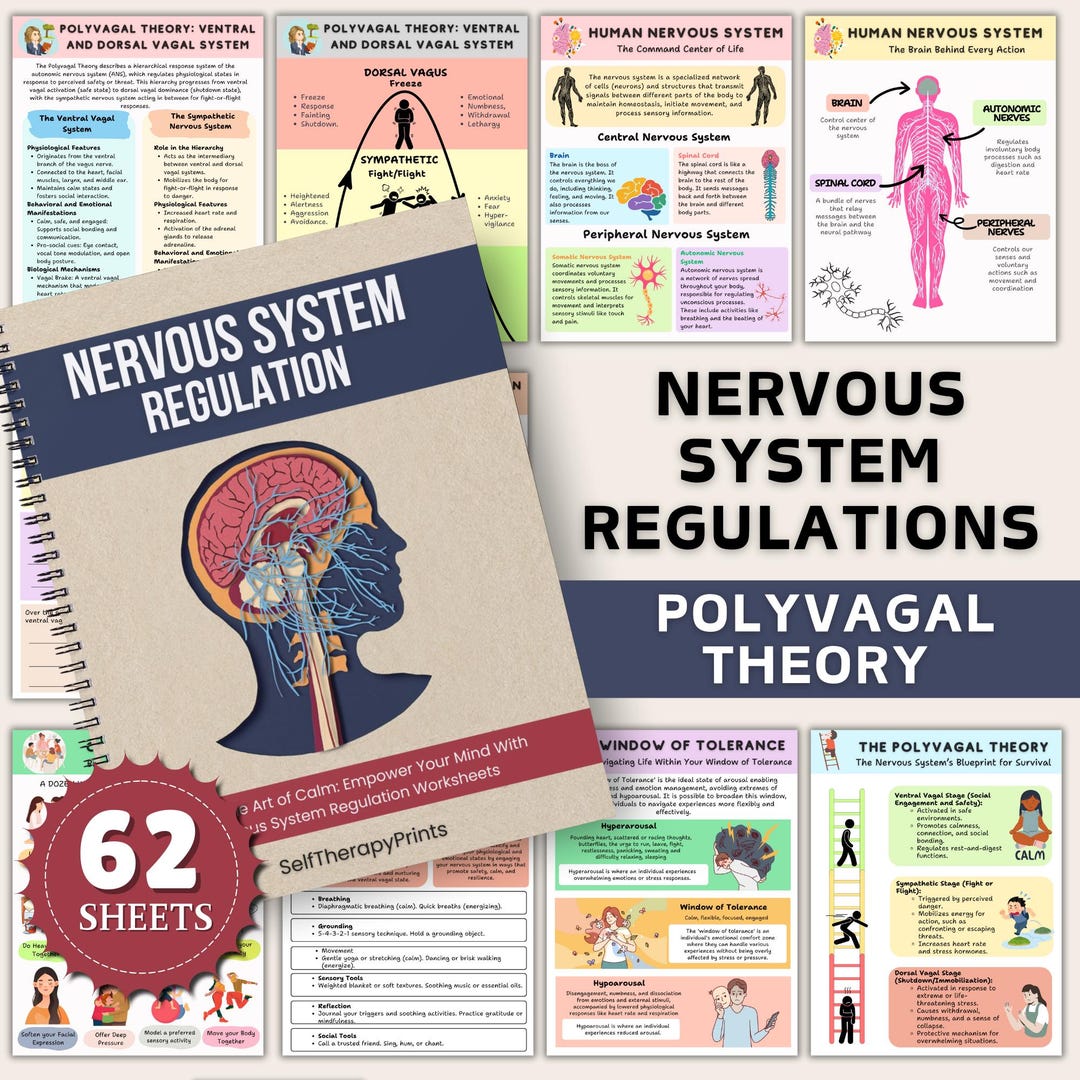 Nervous System Regulation Workbook | the Polyvagal Theory | Somatic ...
