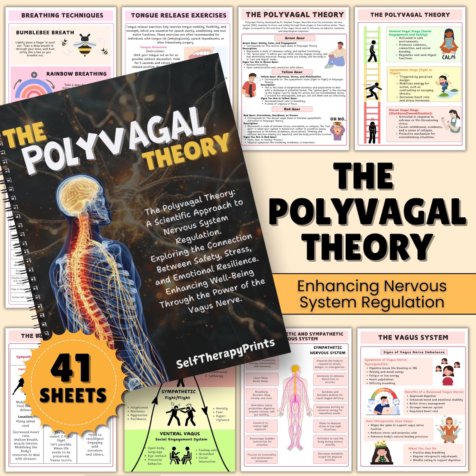 The Polyvagal Theory | Vagus Nerve System | Nervous System Regulation ...