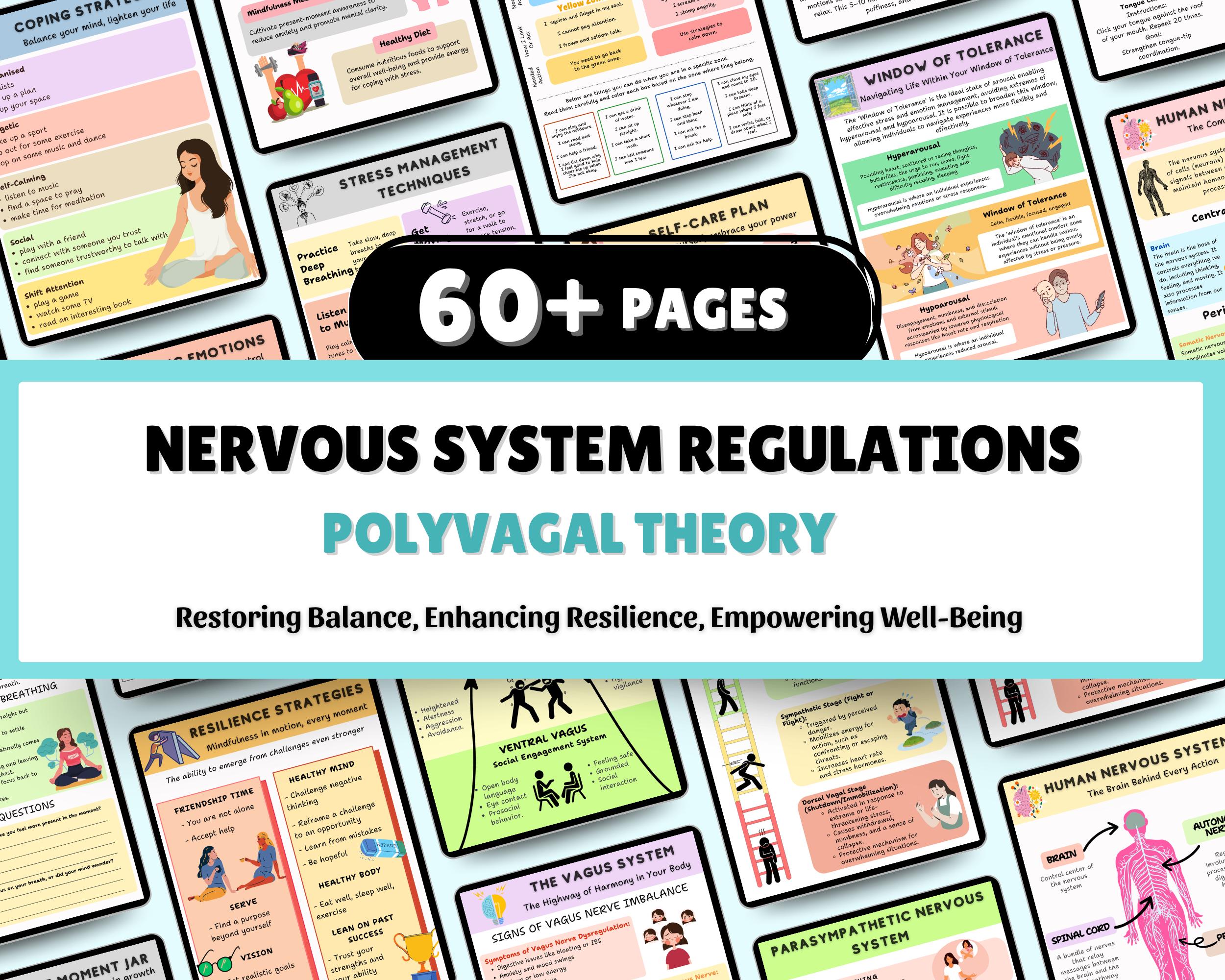 Nervous System Regulation Workbook | Polyvagal Theory Worksheet ...