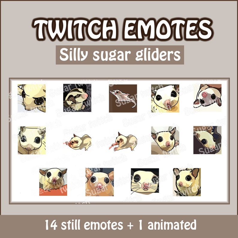 Silly Sugar Glider Meme Emotes for Twitch, Youtube, Kick (14 + 1 ...