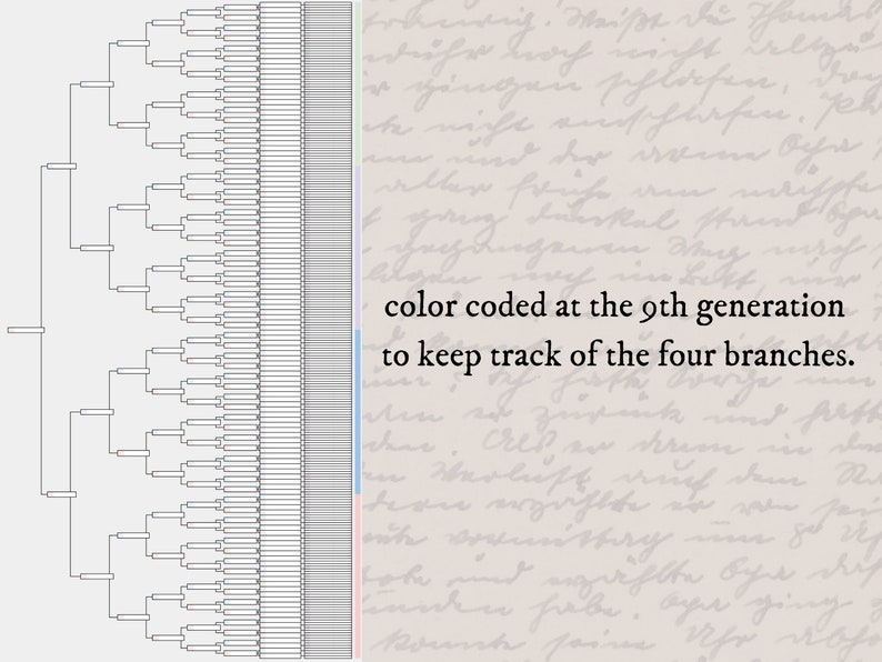 9 Generation Family Tree Spreadsheet Template for Google Sheets ...